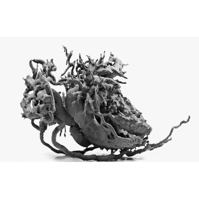 Poudre Sinterit PA12 Smooth Fresh, Noir Poids du matériau 2000g